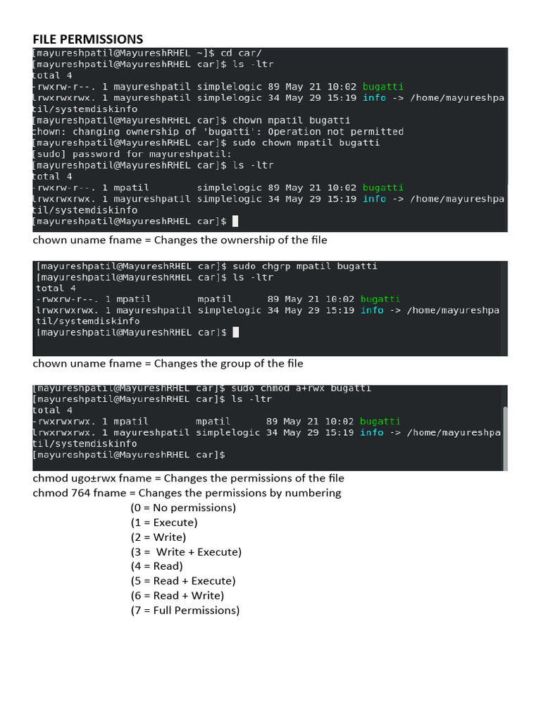 File Permissions | PDF