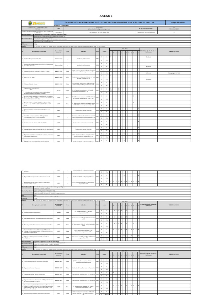PR-SST-01 Programa Anual SST-29/08 | PDF | Seguridad y salud ocupacional
