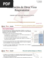 Informe Semanal ERV SE01 2025 06.01.2025 | PDF | Virus de la Influenza A Subtipo H1 N1 | Influenza