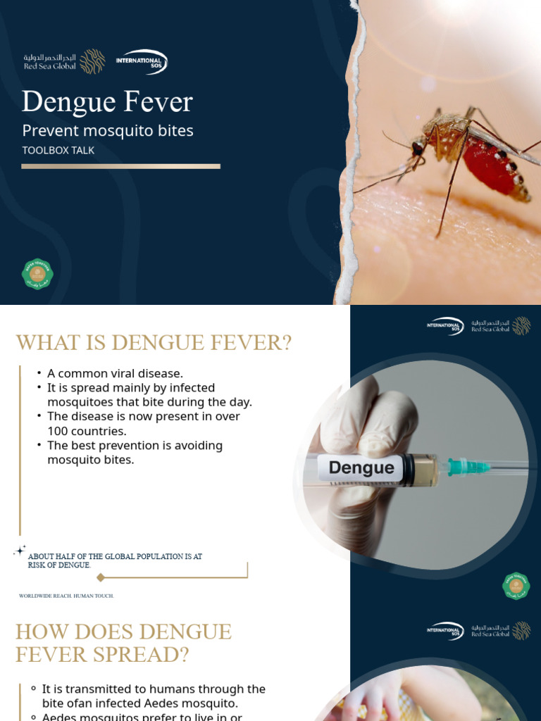 2.1 Dengue Fever Toolbox Talk PDF | PDF | Diseases And Disorders | Health Sciences