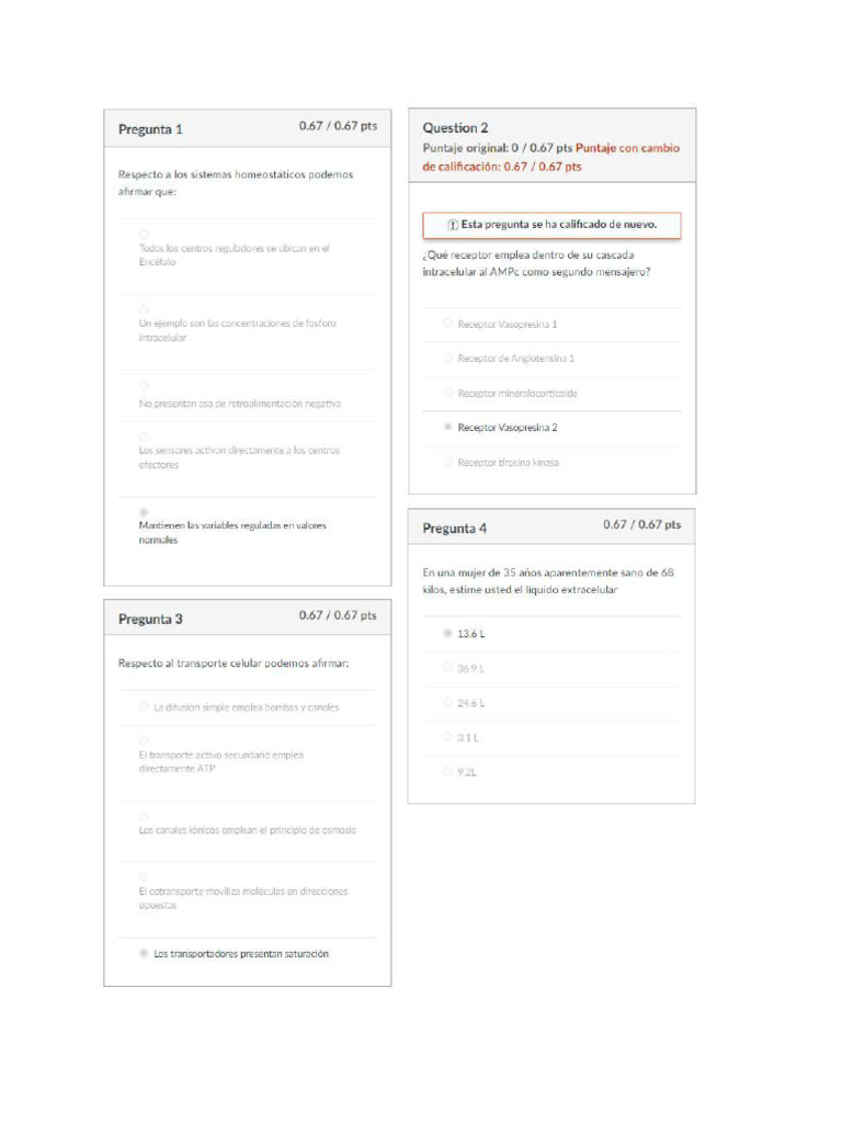 Examen Parcial - Morfo 2 | PDF