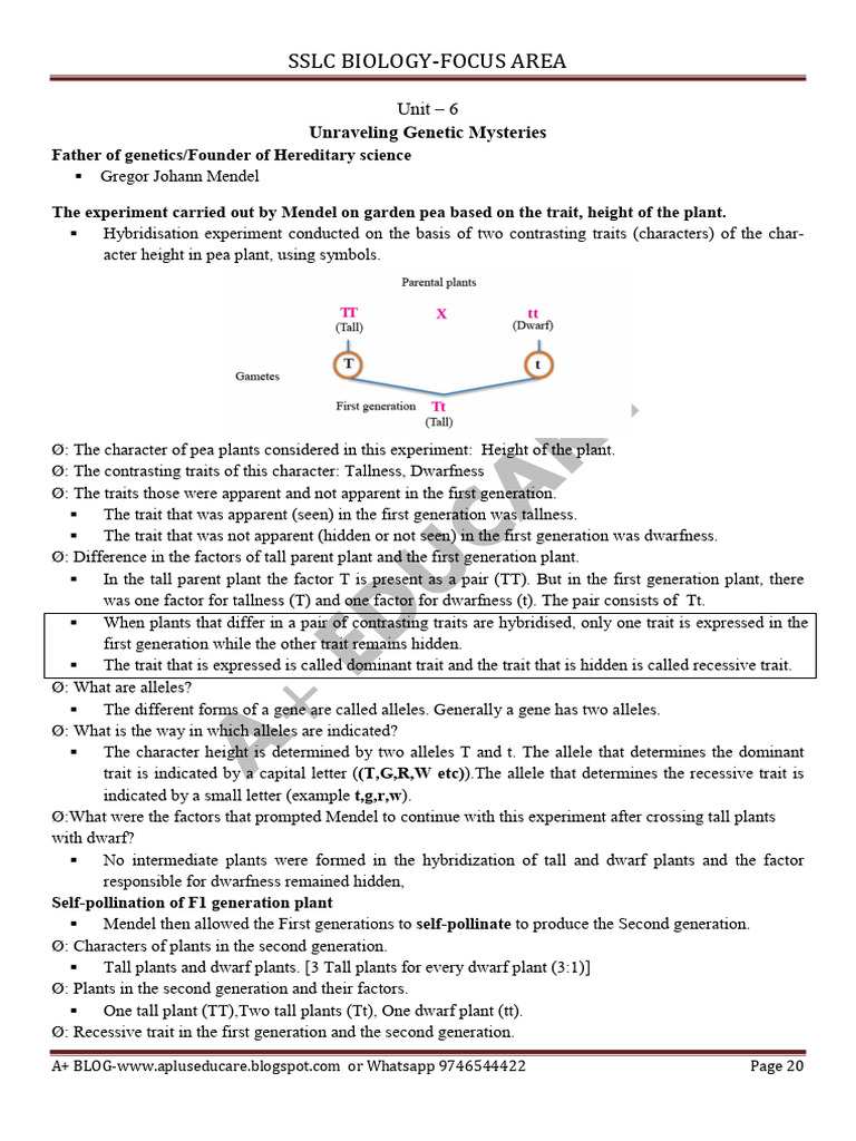 A+ Blog SSLC Biology Chapter 6 Focus Area Based Notes (Em) | PDF | Rna ...
