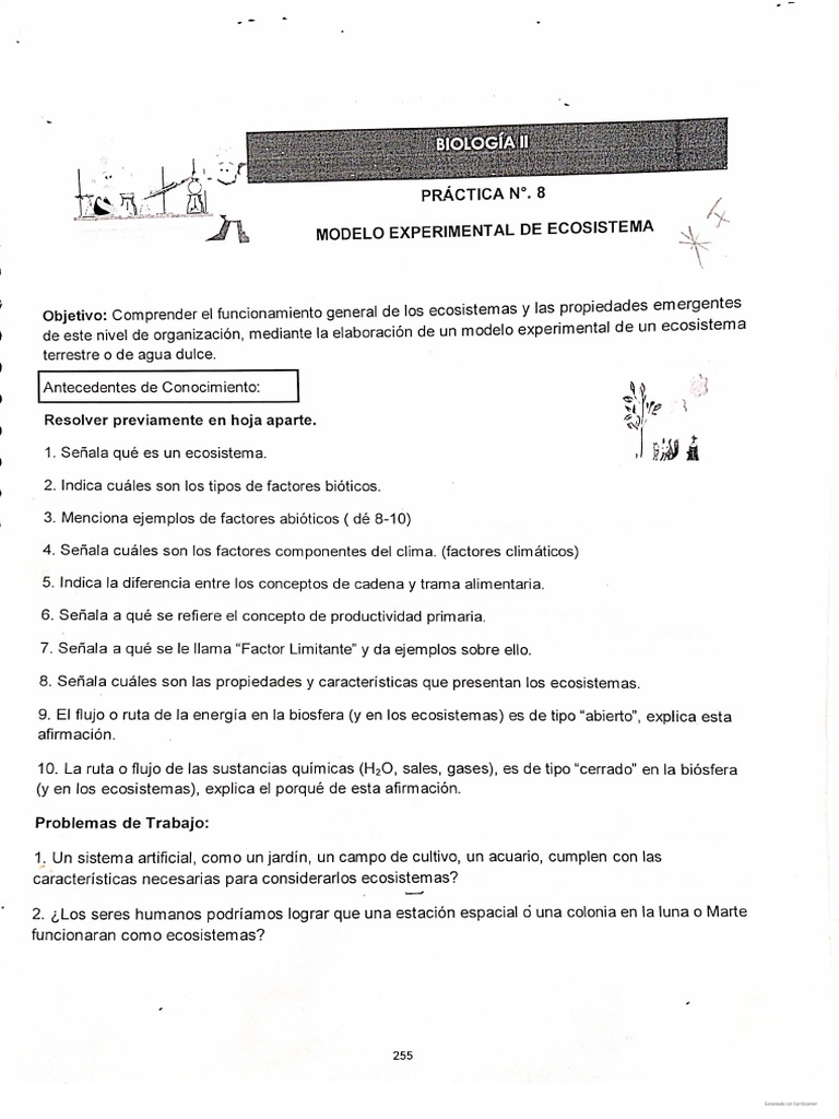 Práctica 8 | PDF
