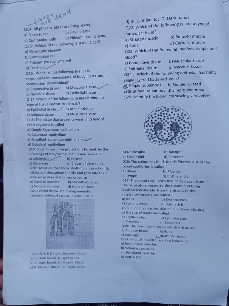 Scanned 20240720 121840 | PDF