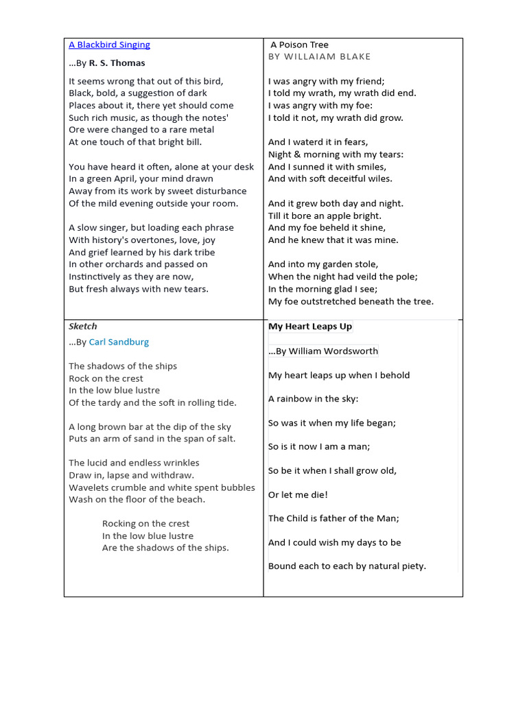 Poetic Devices and Their Effects | PDF | Poetry | Metaphor