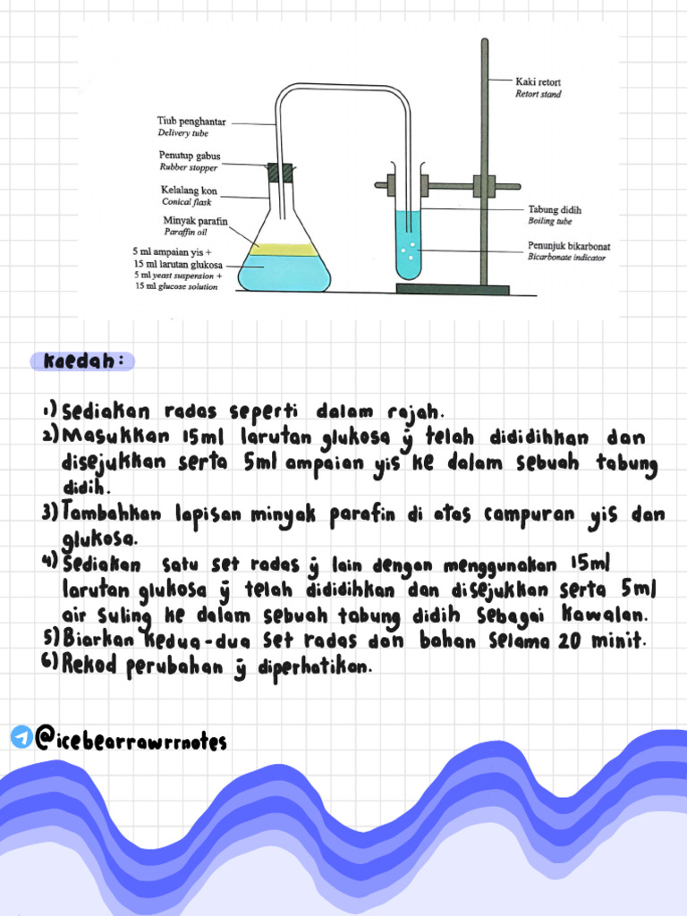 Soalan CTH Amali Bio | PDF