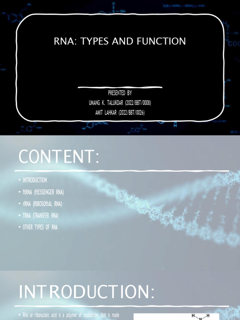 RNA Types & Functions Explained | PDF | Rna | Ribosomal Rna