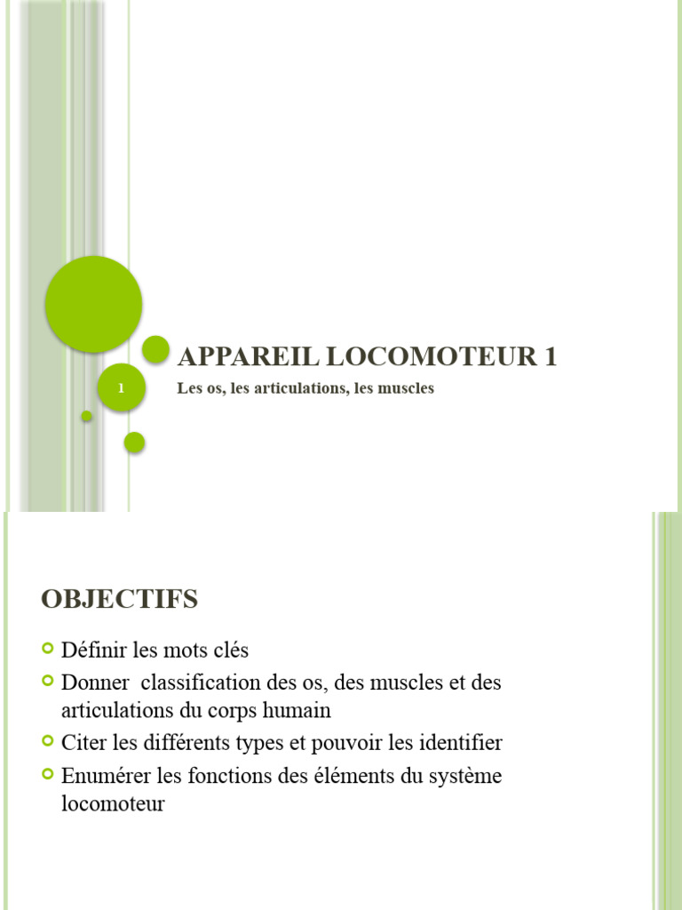 Anatomie et fonctions du système locomoteur | PDF | Muscle ...
