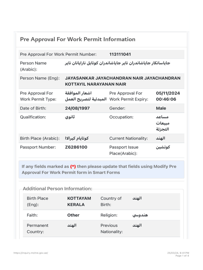 Preapproval For Work Permit | PDF