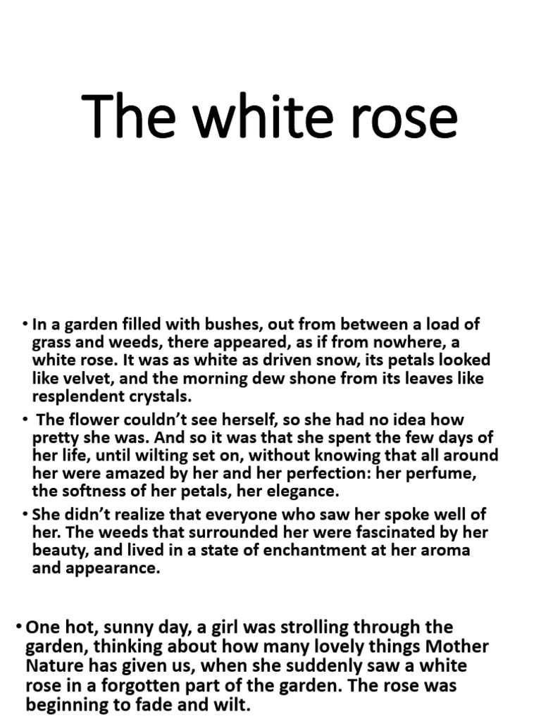 The White Rose | PDF