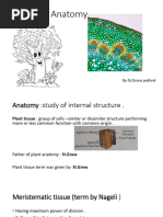 Medical Terminology Chapter 2 With Complete Solutions | PDF | Human ...