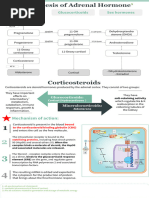 Corticosteroid Equivalency Chart | PDF