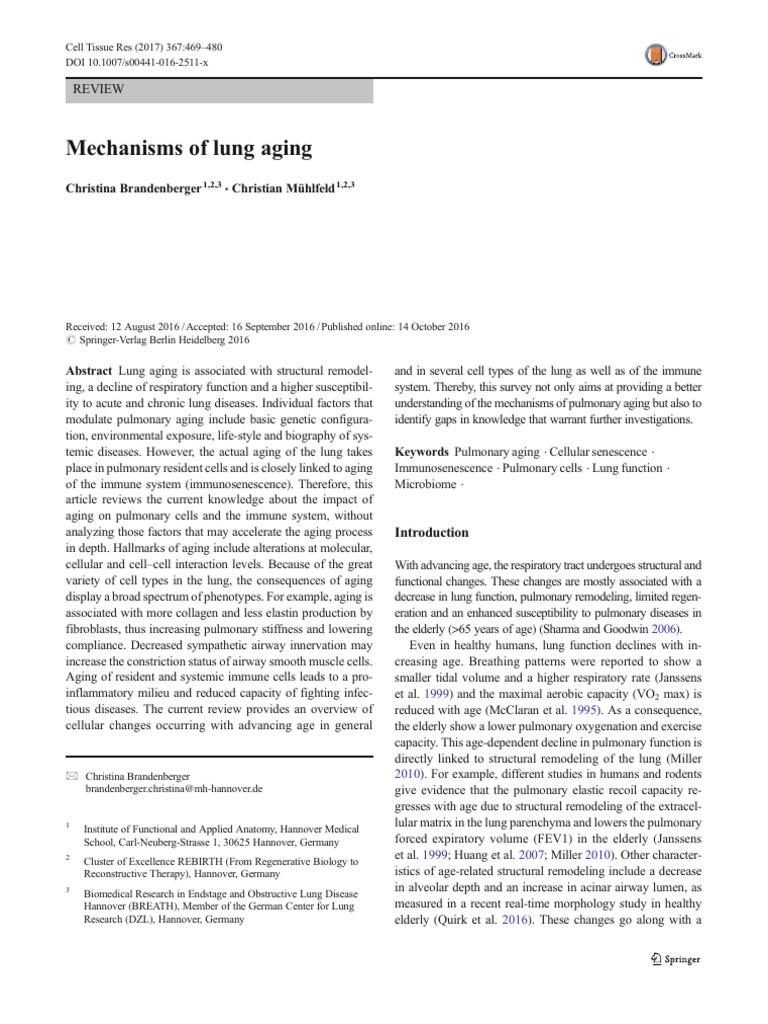 Mechanisms of Lung Aging | PDF | Lung | Respiratory Diseases