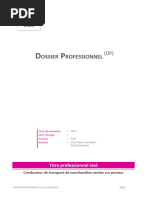 Dossier Professionnel Version Finale A Remplire | PDF