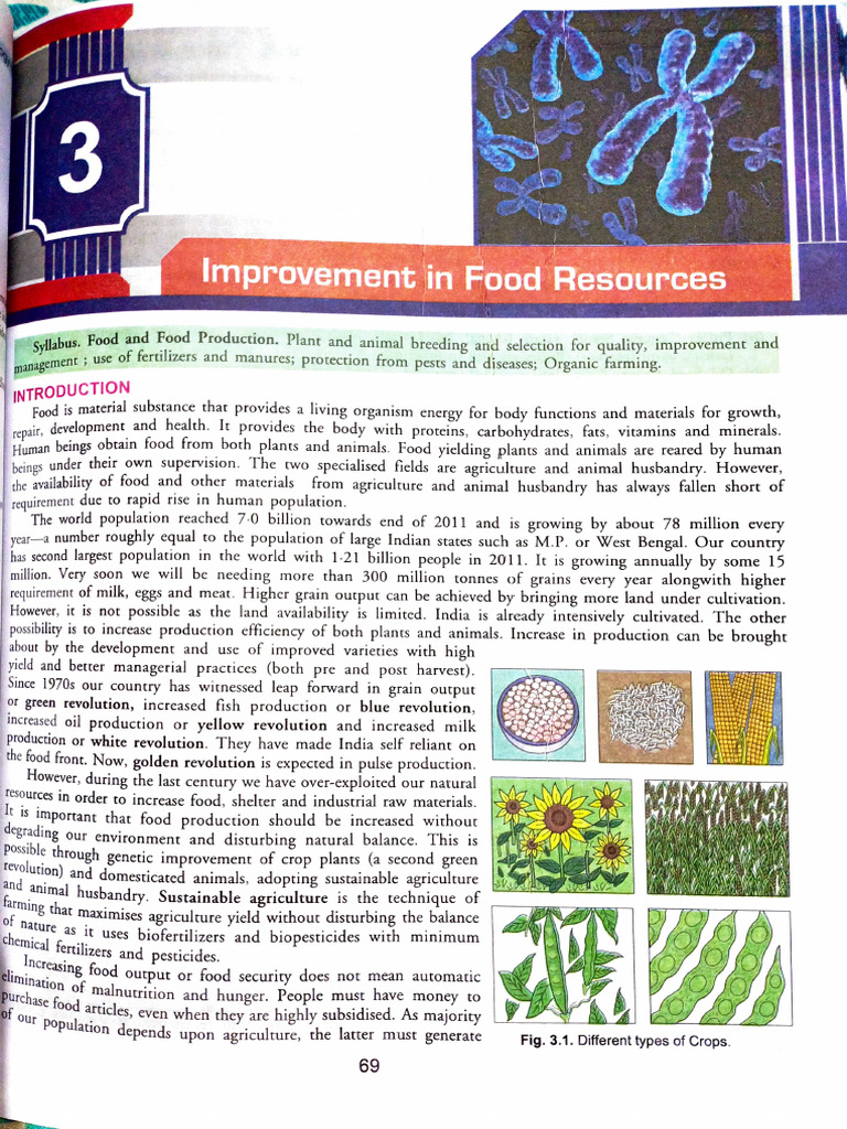 Improvement in Food Resources | PDF