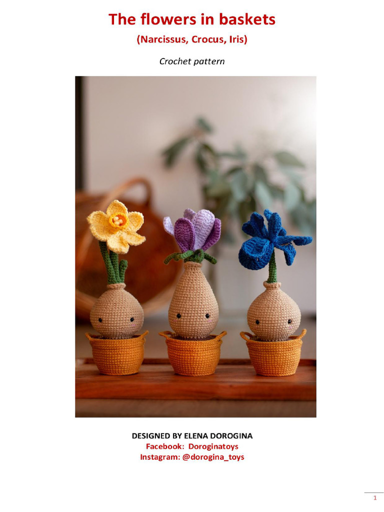 Narcissus Crocus Iris | PDF