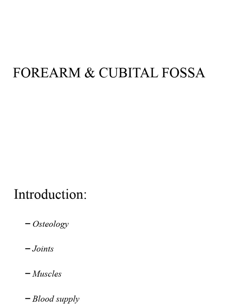 Anatomy of the Cubital Fossa | PDF | Elbow | Arm