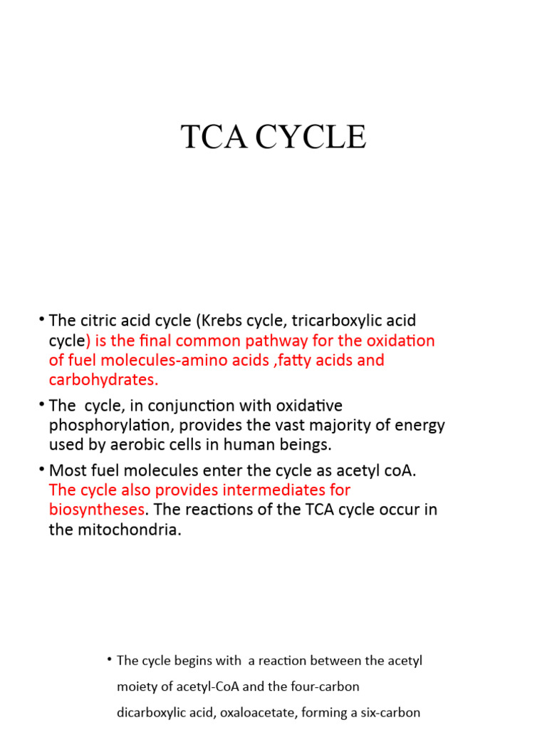 Metabolism 3 TCA Cycle | PDF | Diet & Nutrition | Chemistry