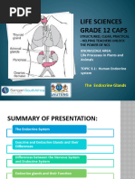 Grade 12 Notes Genetics 2025 | PDF | Dominance (Genetics) | Genotype