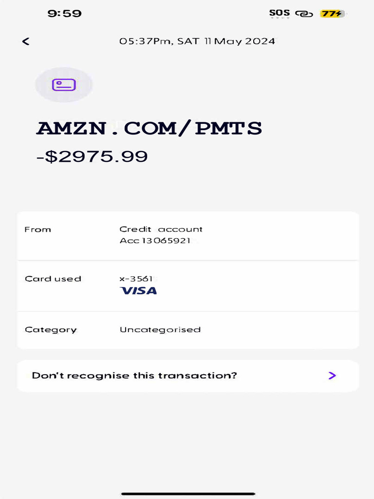 Amazon Transaction | PDF