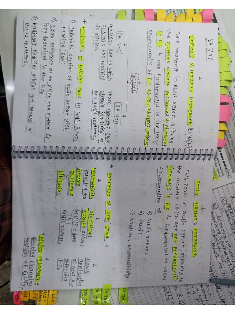 Audit SA 706 Chart Handwritten | PDF