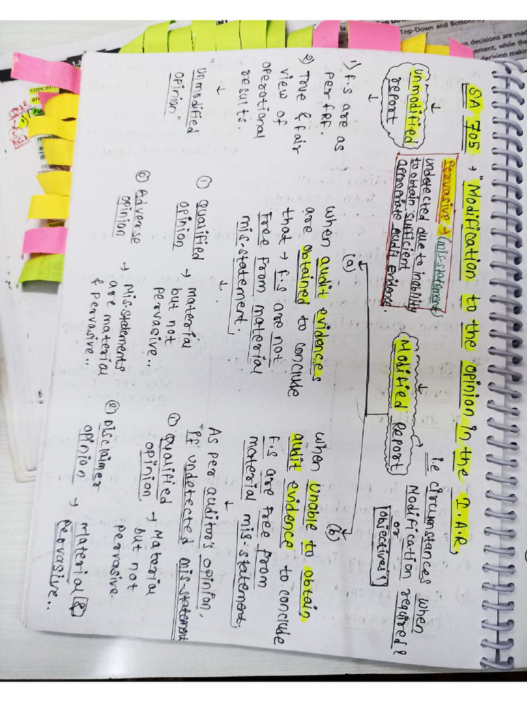 Sa 705 Ca Inter Audit | PDF