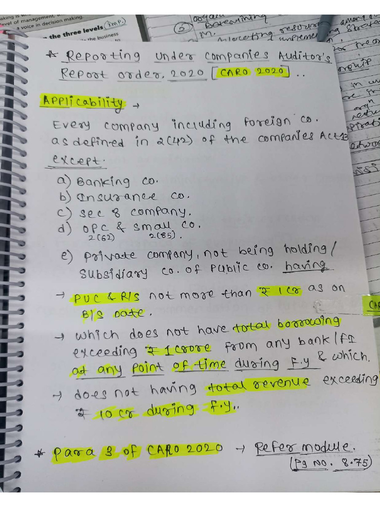 Caro 2020 Summary | PDF