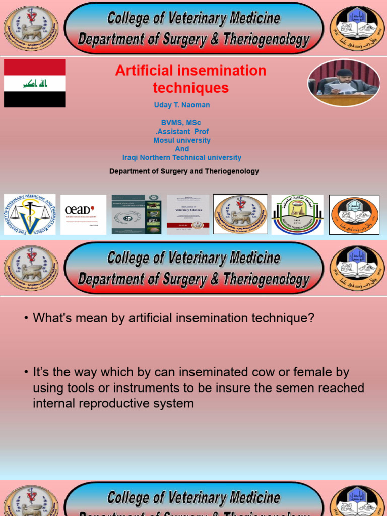 Artificial Insemination Technique | PDF