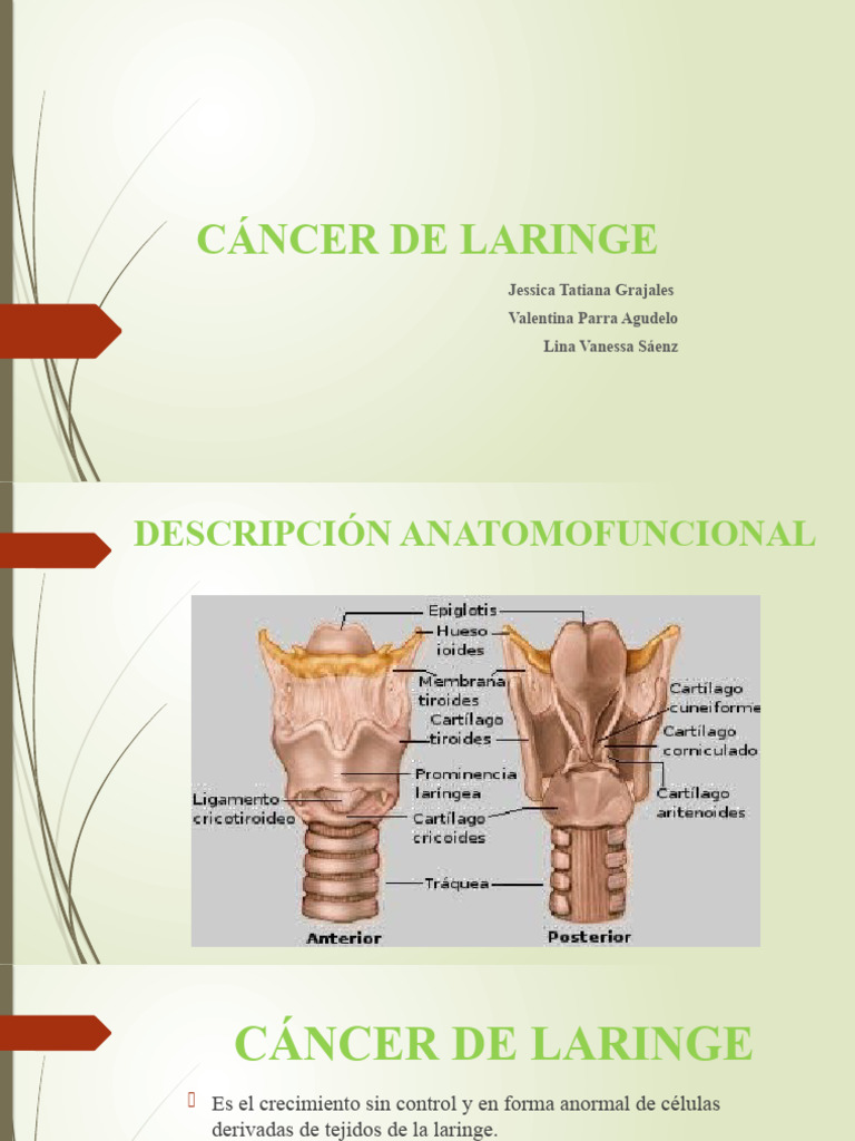 Cáncer de Laringe | PDF | Dolor | Laringe