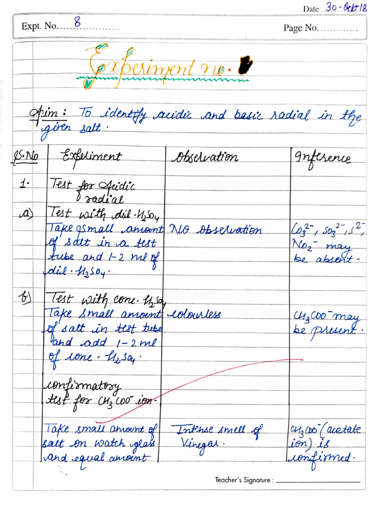 Class 11 Practical | PDF