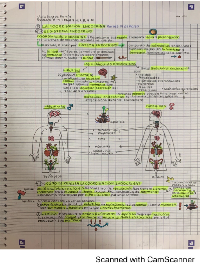 Resumenes Biología | PDF