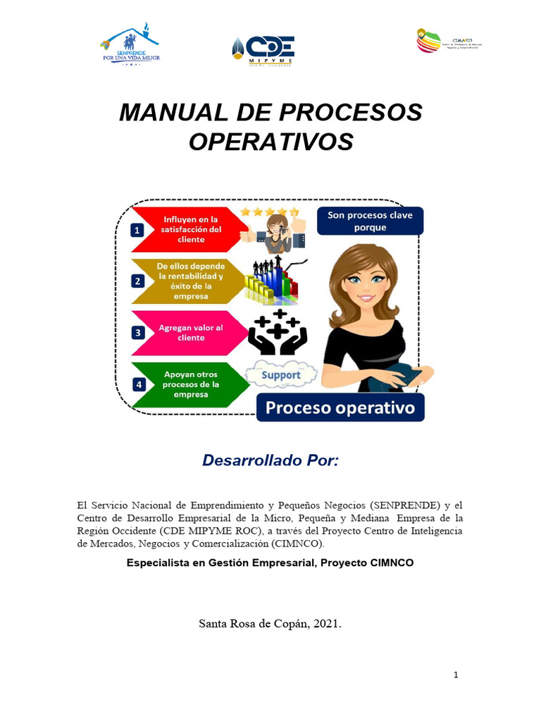 Manual Procesos Operativos 1 | PDF | Business | Logística