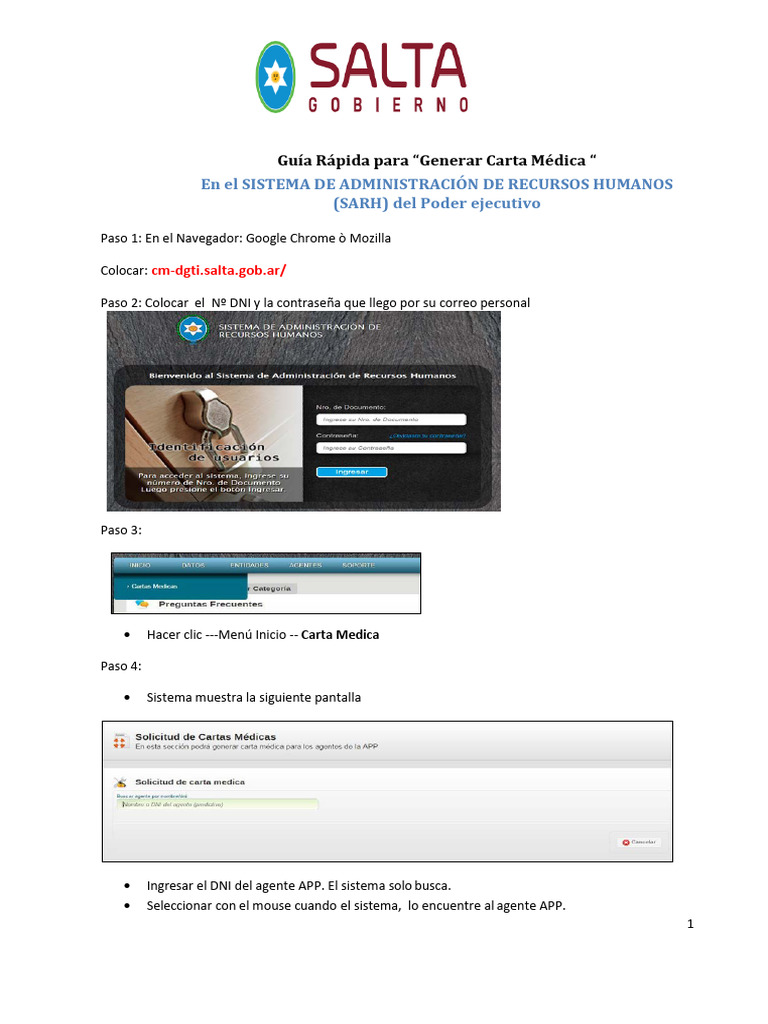Guia Rapida para Generar Carta Medica | PDF