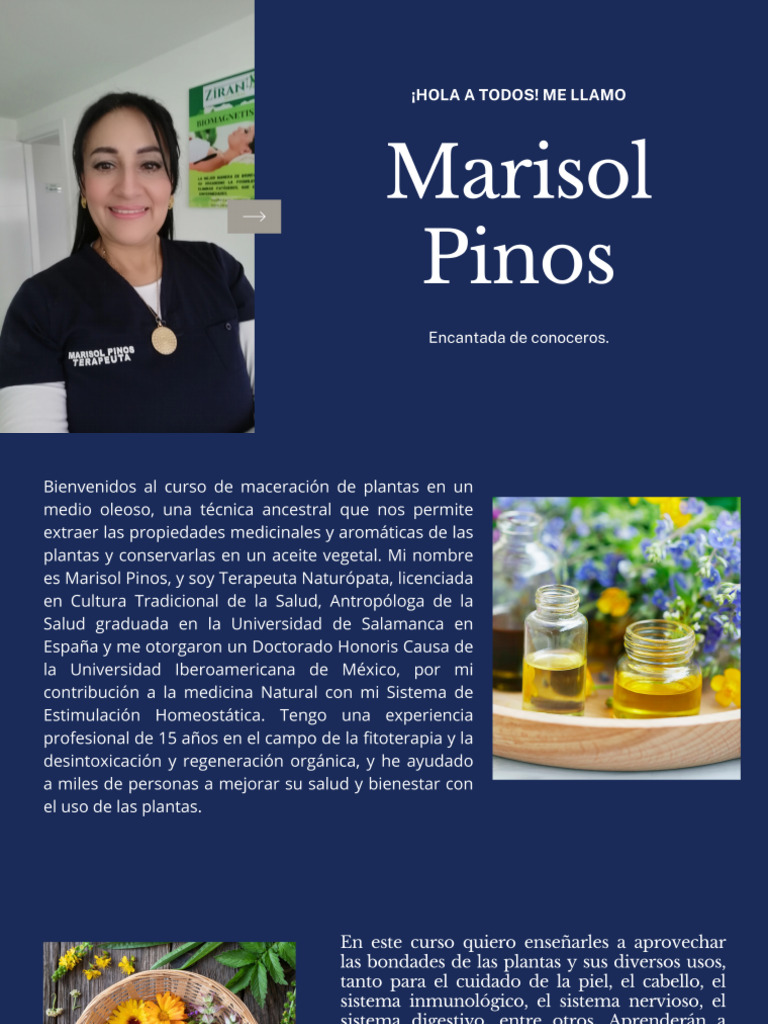 Introducción Presentación (1 | PDF