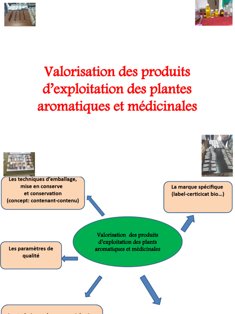 Valorisation Des Produits D'exploitation Des Plants Aromatiques Et Médicinales | PDF | Huile ...