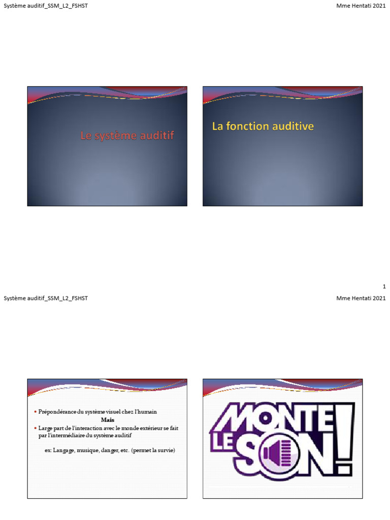 Comprendre le système auditif humain | PDF | Système vestibulaire | Oreille