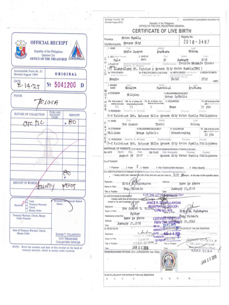 Birth Receipt | PDF