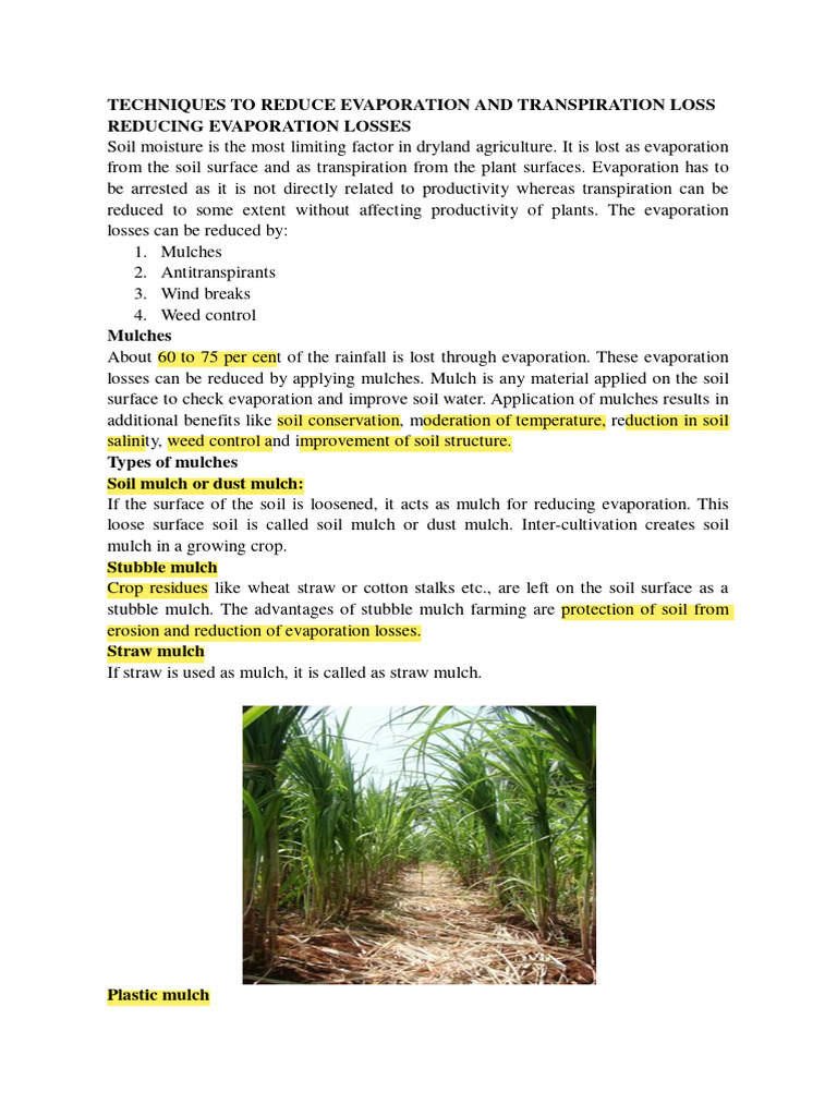 Techniques To Reduce Evaporation and Transpiration Loss | PDF | Mulch ...