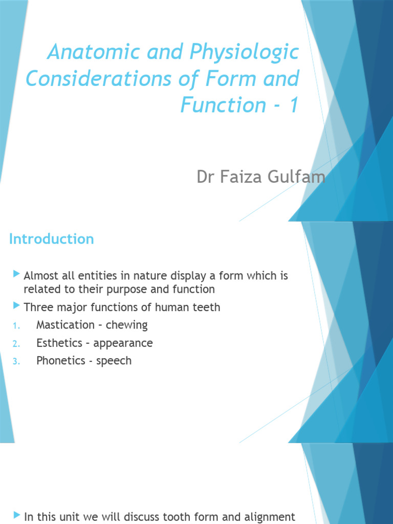 Anatomic and Physiologic Considerations of Form and Function | PDF ...