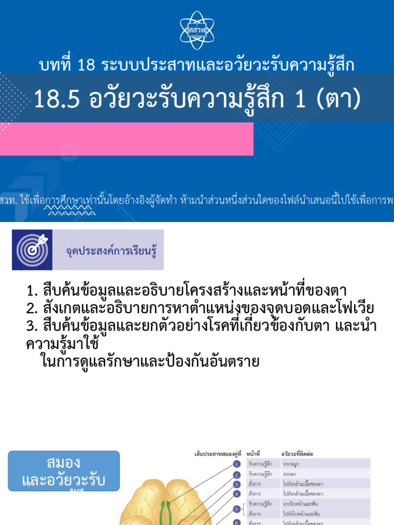m6b5 18 5sensory Organ 008 PPT | PDF