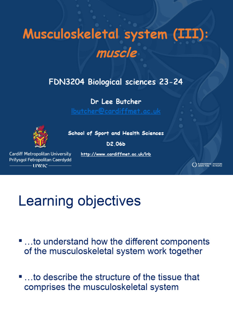 Lecture 1.4 Musculoskeletal System III 23-24 v1 MOODLE | PDF | Muscle | Muscle Contraction