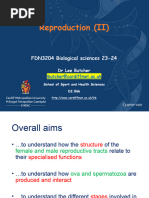 Anatomy Physiology of Reproduction in Female Pigs | PDF | Ovary ...
