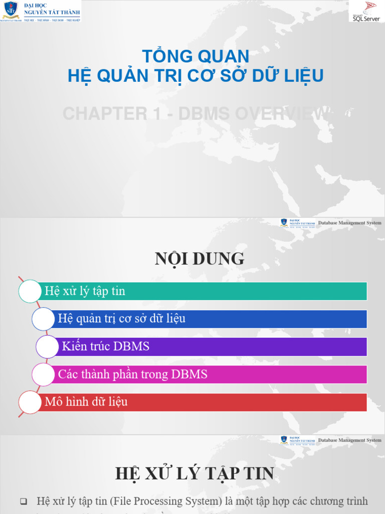 QDQ - Chapter 1 - DBMS Overview | PDF