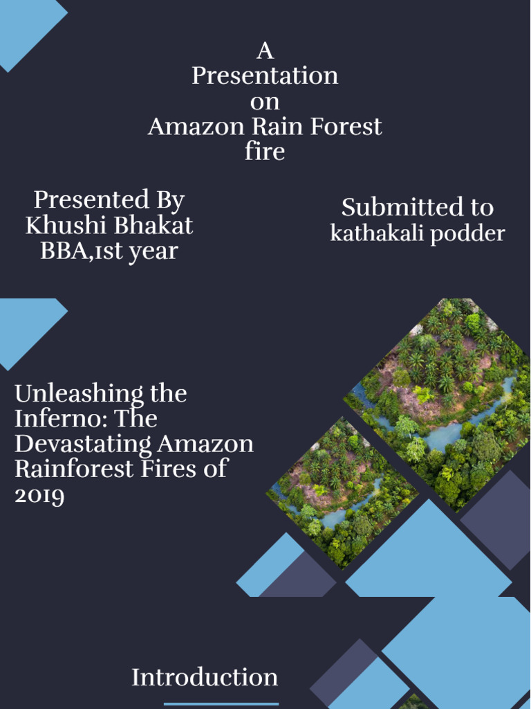 Khushi'Ppt | PDF | Deforestation | Amazon Rainforest