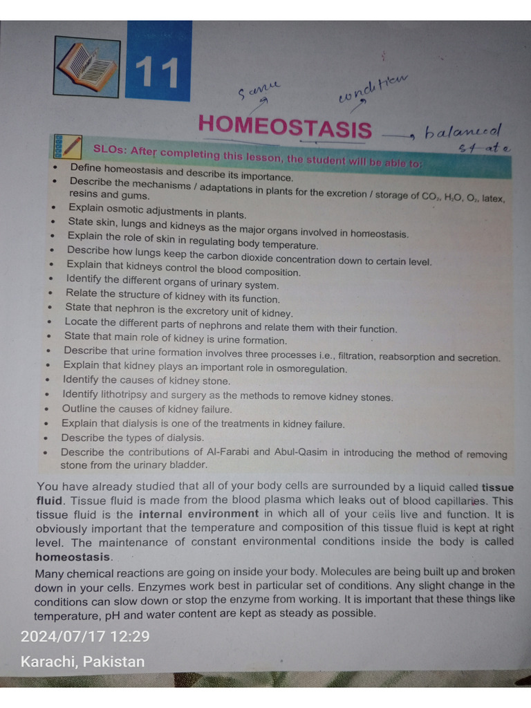 Biology Chapter 11 | PDF