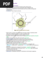 Human Reproduction - Notes - Class 12 - Part 6 - Fertilization and ...