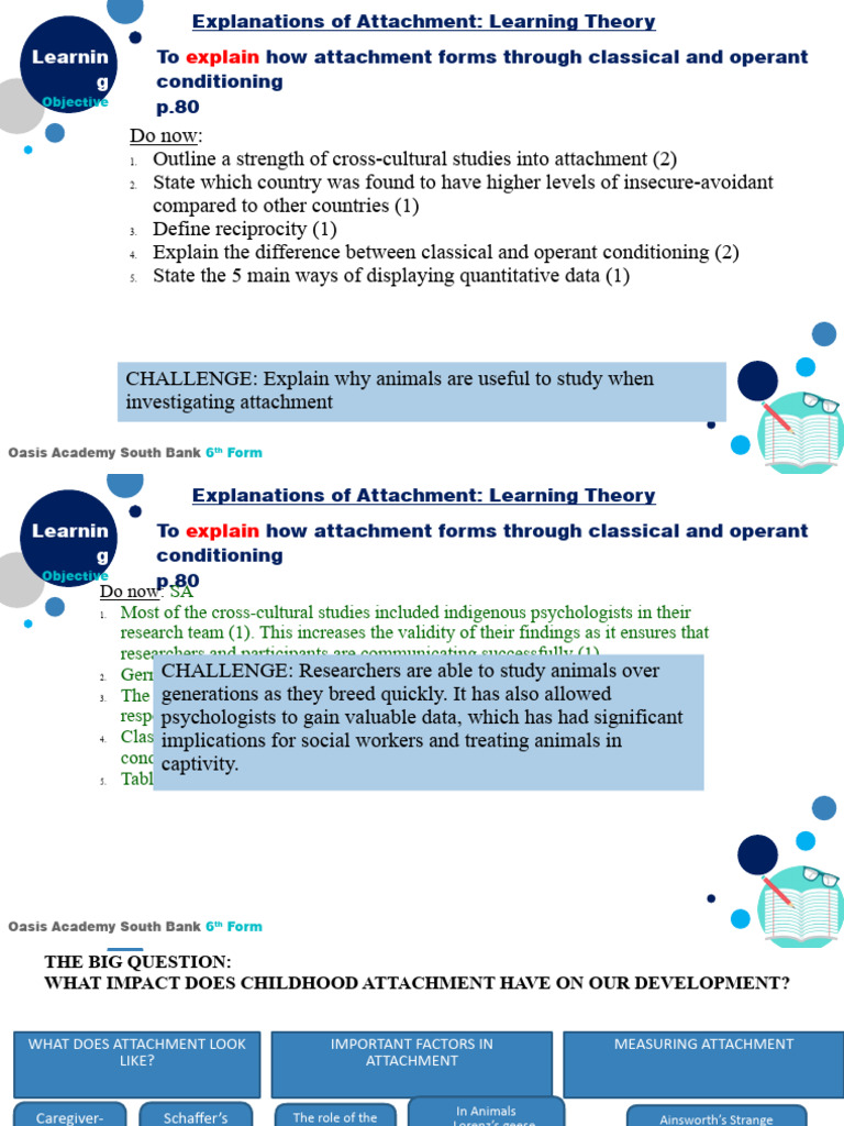Learning Theory | PDF | Attachment Theory | Classical Conditioning