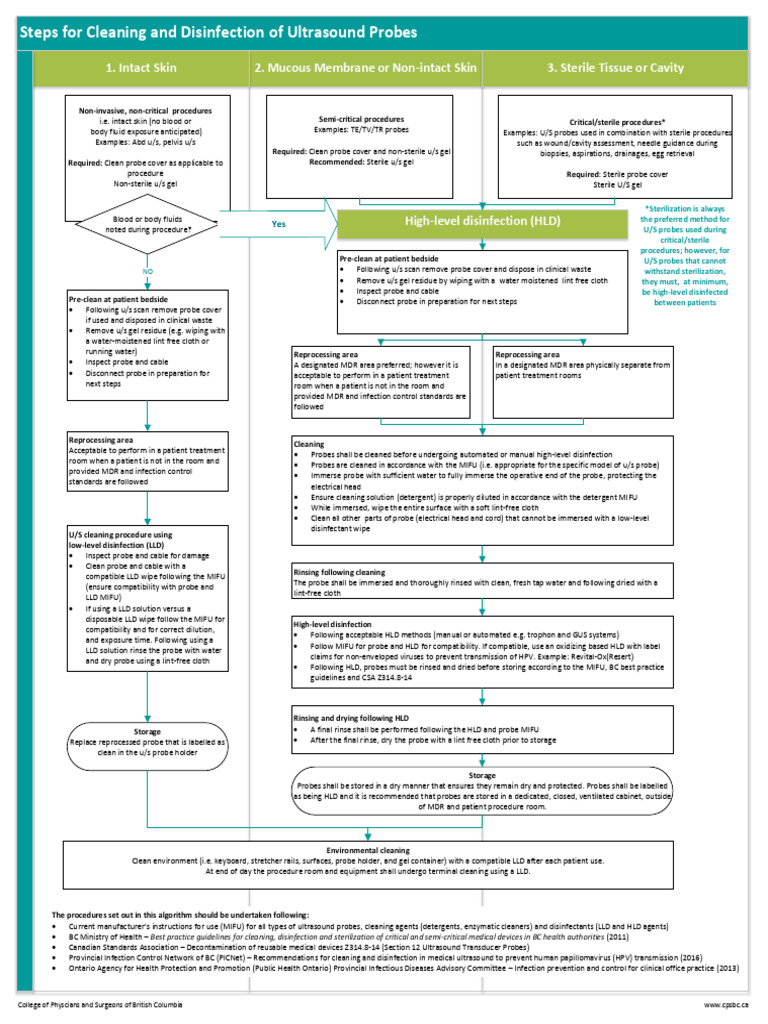Ultrasound Probe Disinfection Guide | PDF | Disinfectant | Microbiology