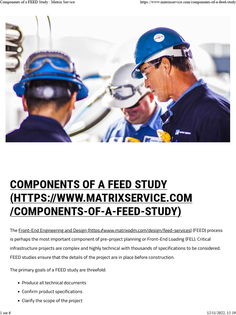 FEED Study Matrix Service | PDF | Engineering