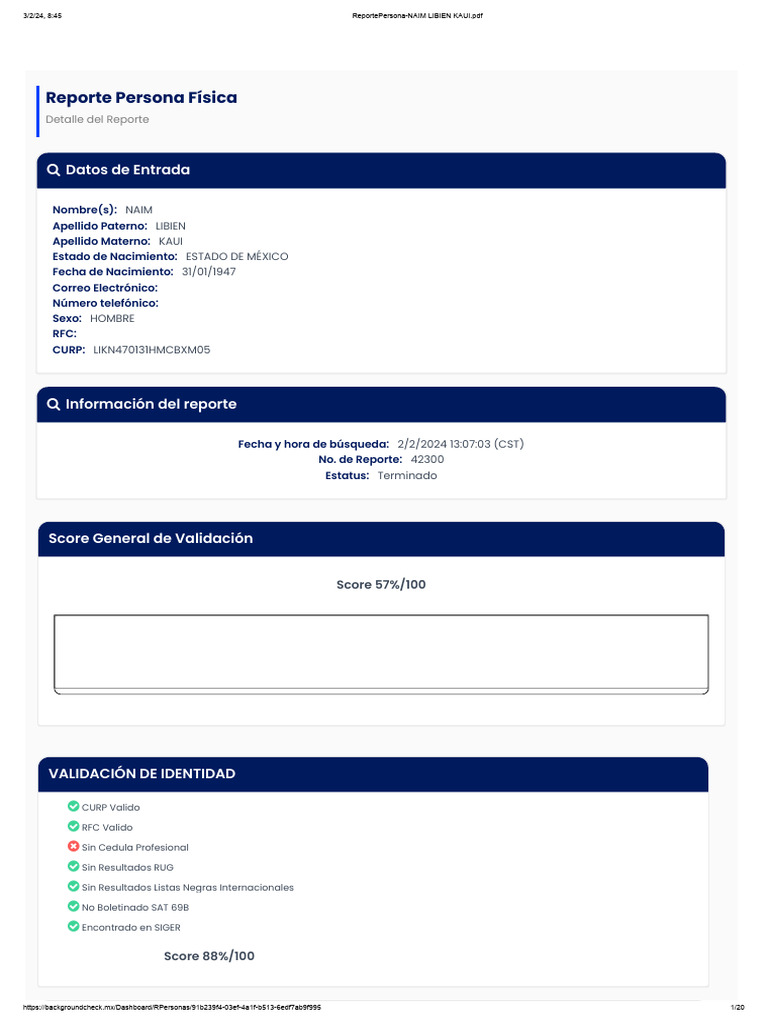 ReportePersona-NAIM LIBIEN KAUI | PDF | Sociedad de responsabilidad ...